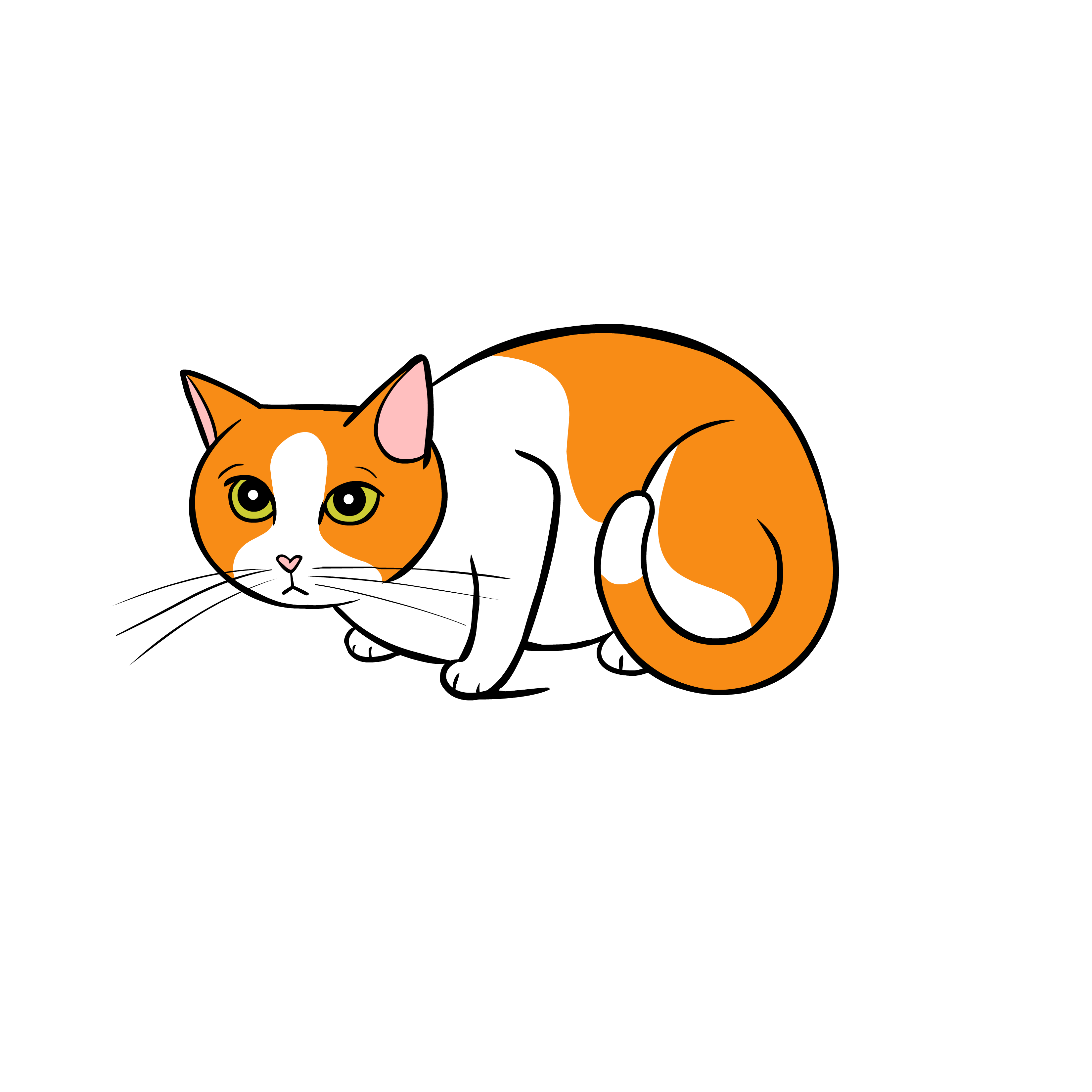 Cat body language - NextGen - rspca.org.uk