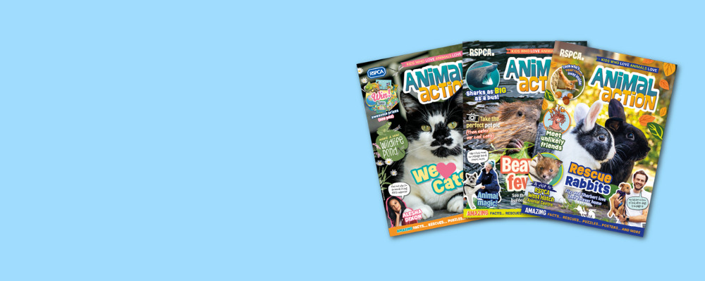 For kids who love animals | RSPCA - NextGen - rspca.org.uk