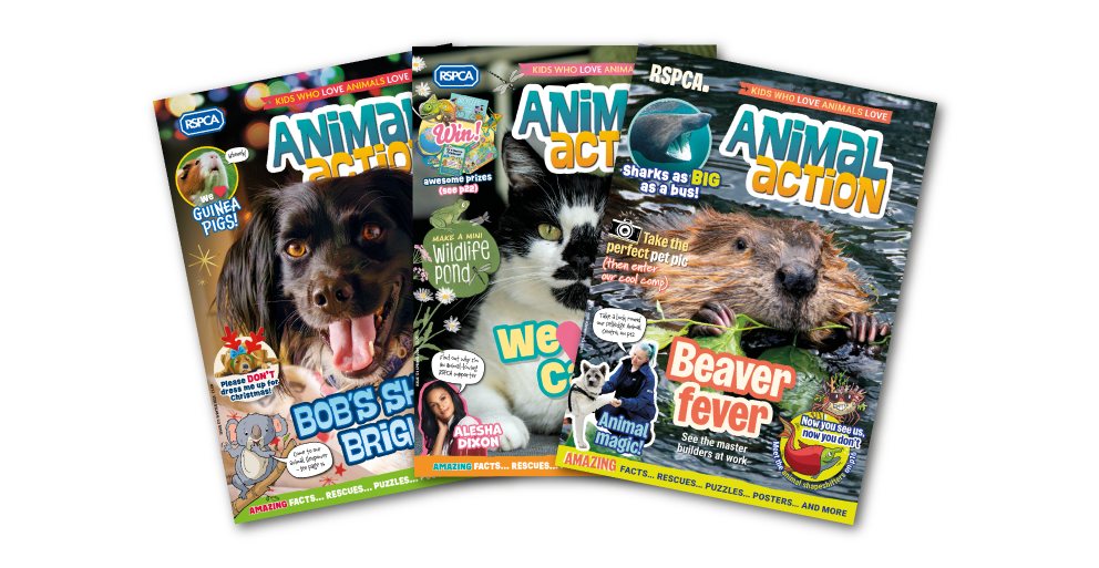For kids who love animals | RSPCA - NextGen - rspca.org.uk