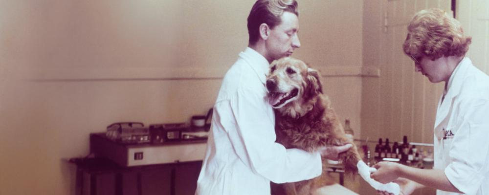 Videos - NextGen - rspca.org.uk